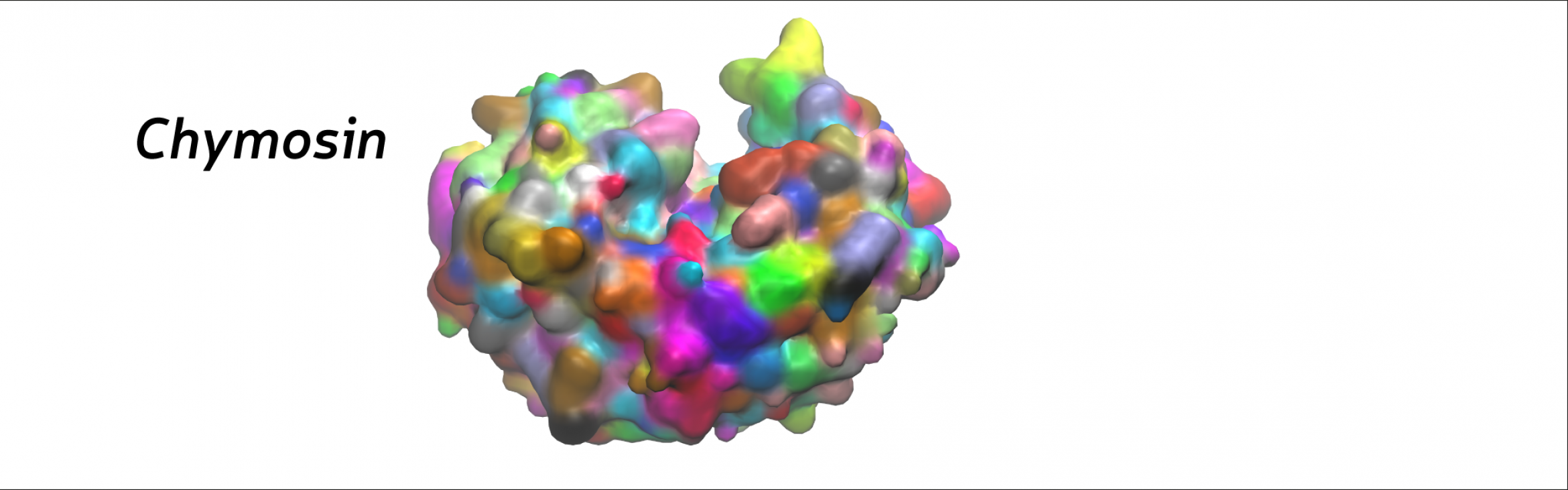 Enzym | smagforlivet.dk